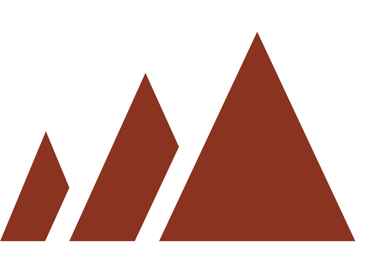 Domestique RevOps Agency