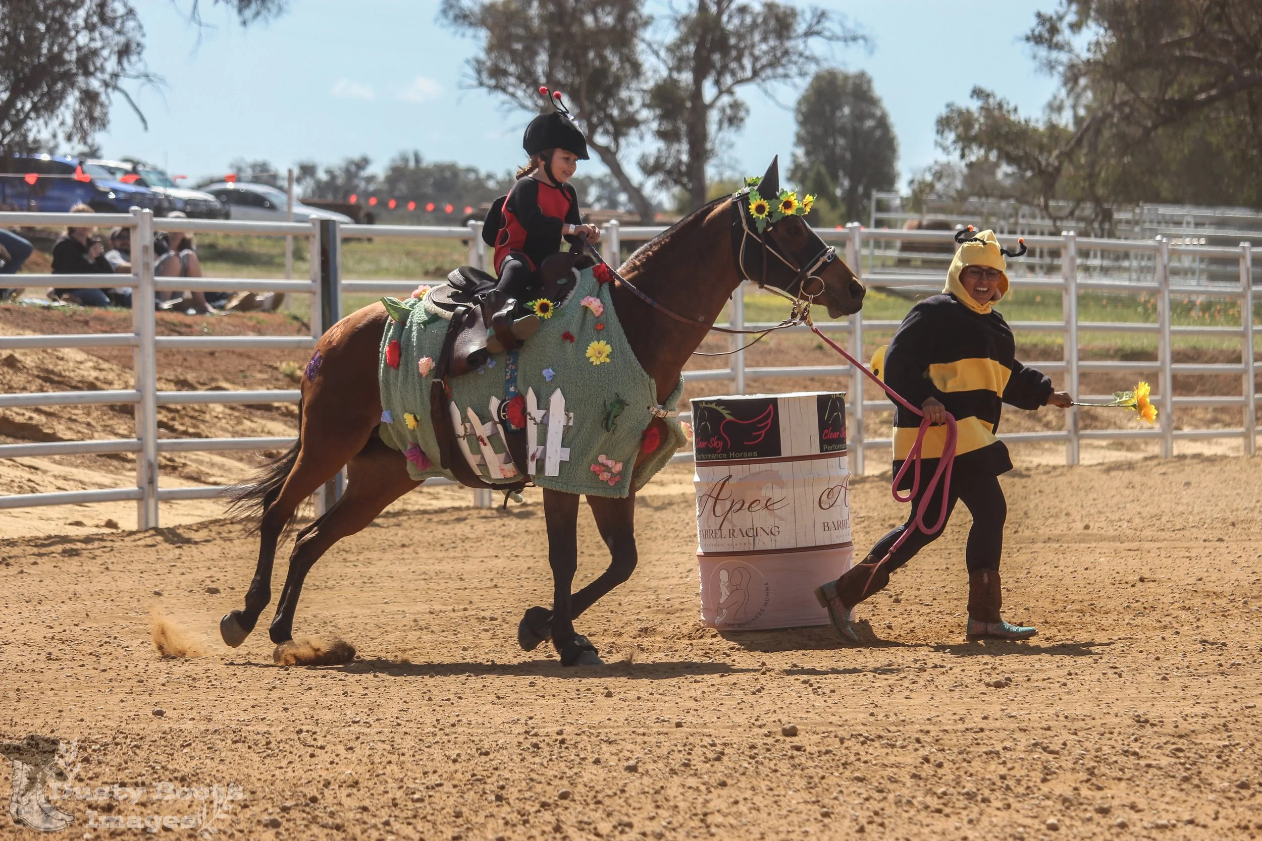Contact 1 — Apex Barrel Racing