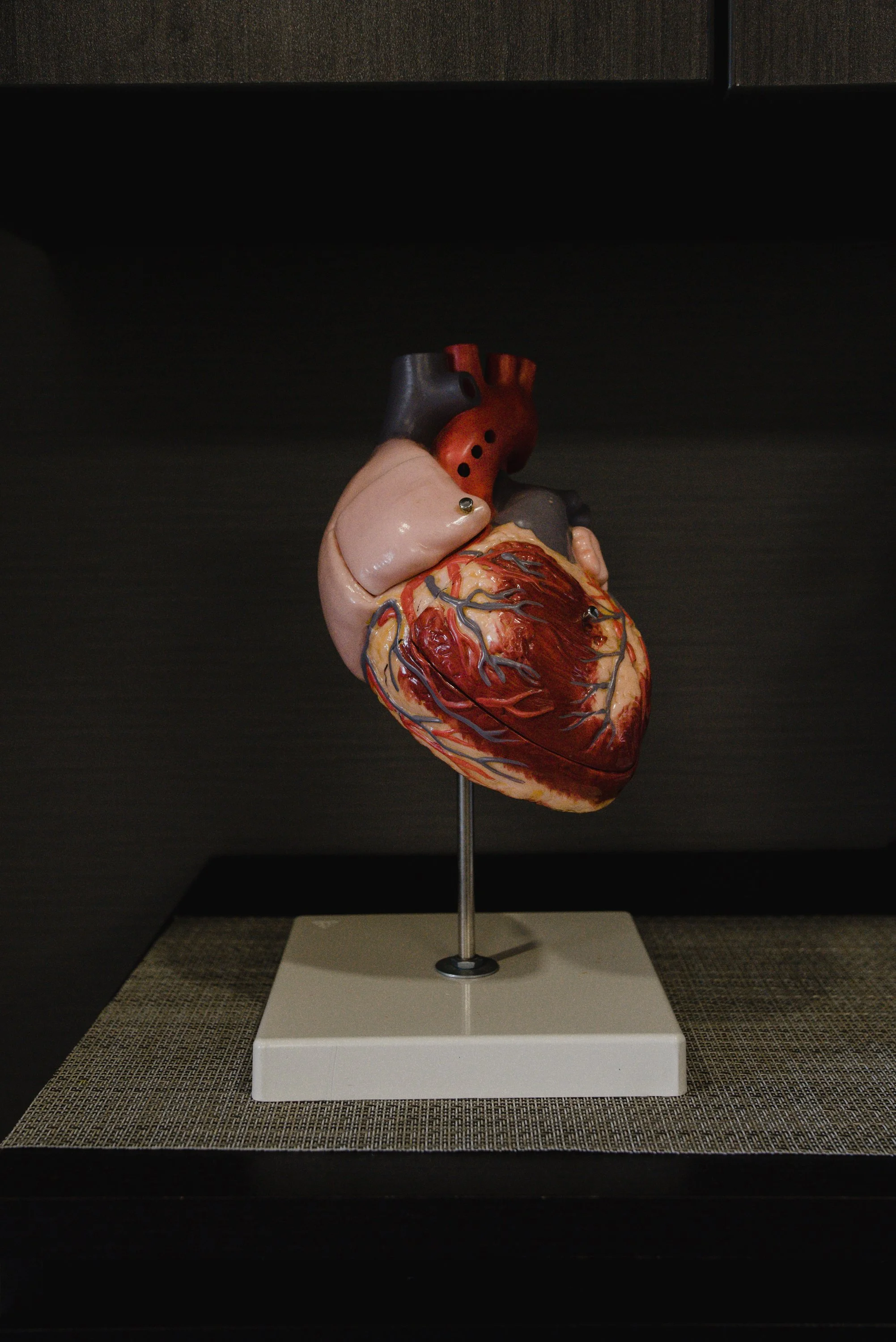CIVIC HEART CENTRE - Brampton Cardiology