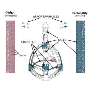 What Is Human Design? A Beginner’s Guide to Understanding the Bodygraph ...
