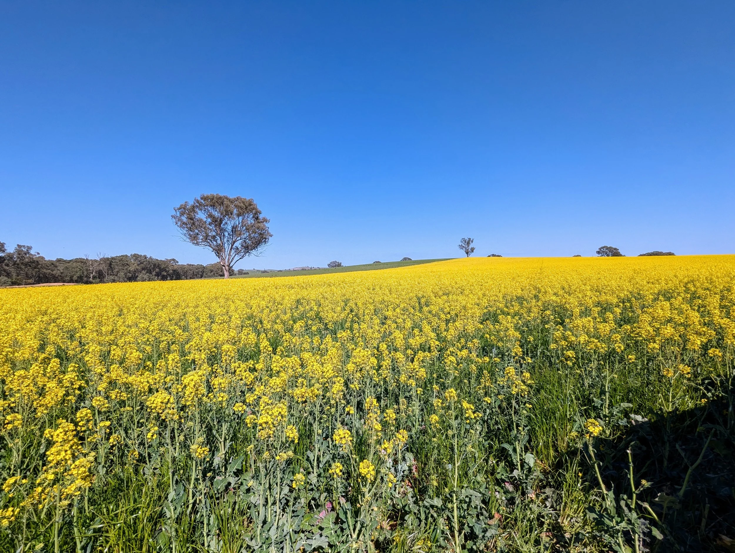Our Team — Burgess Rural
