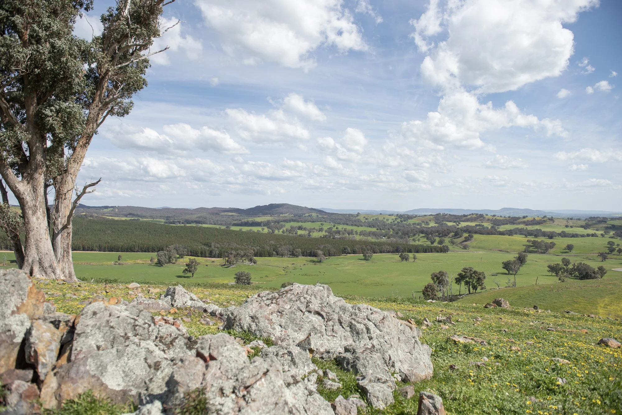 Lockerbie — Burgess Rural