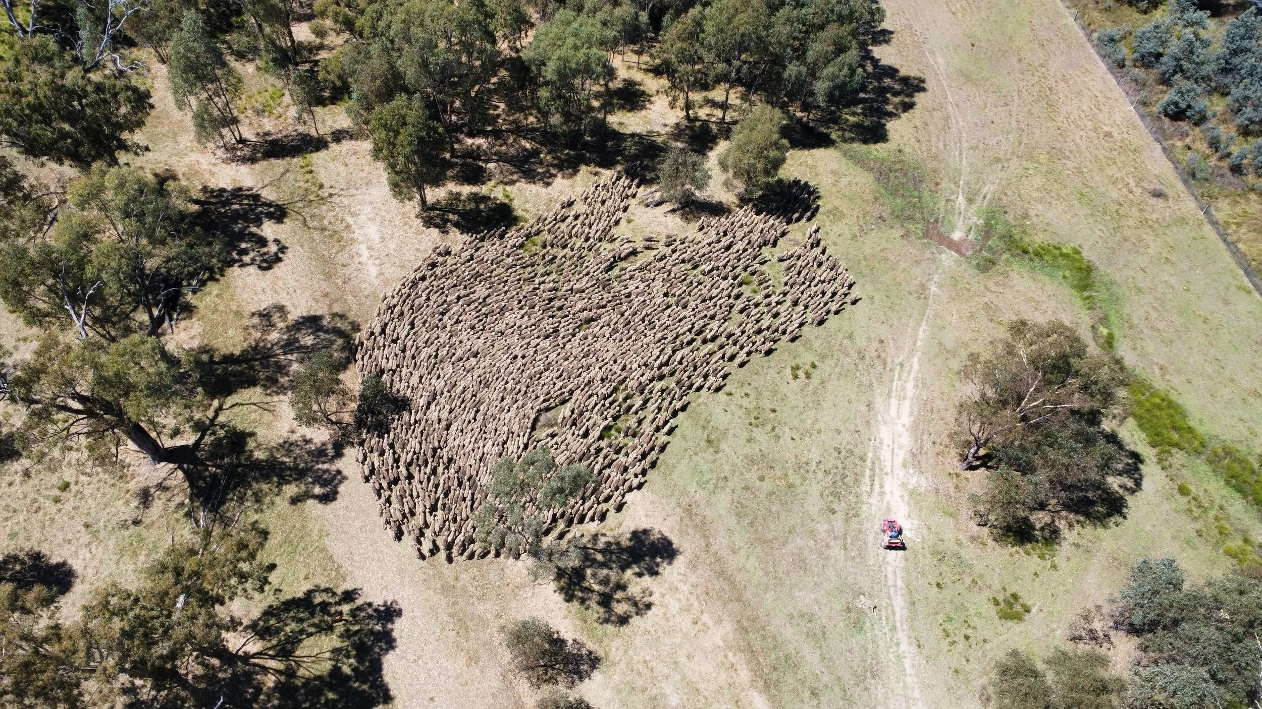 Careers — Burgess Rural