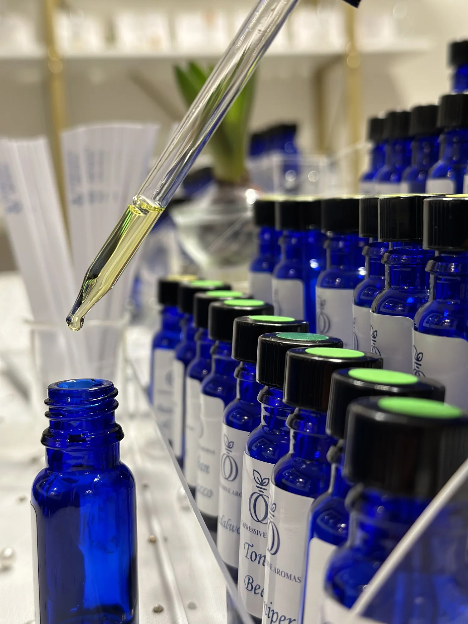 Book an appointment to create your custom perfume — Expressive Aromas