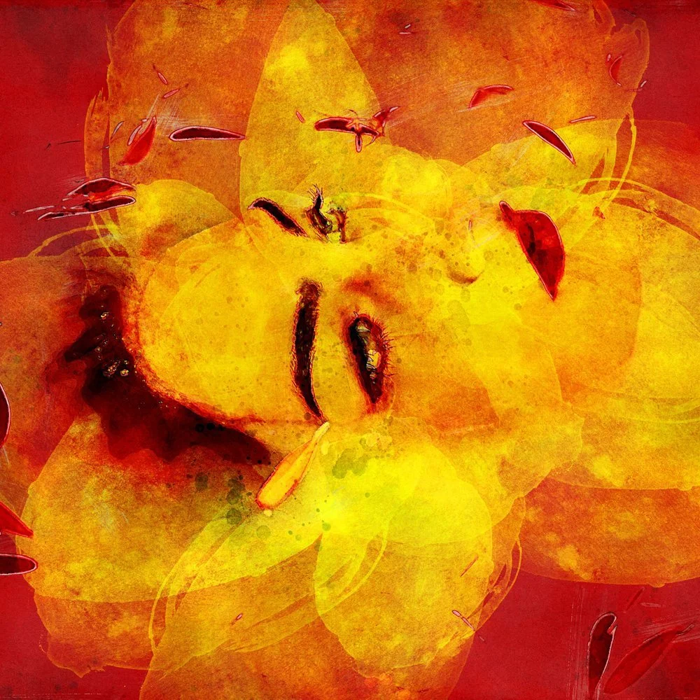 Illustrations — Jochen Viegener