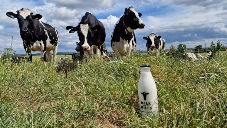 Milk in Barnsley: Fresh Local Dairy Delights — Milk from the Hills