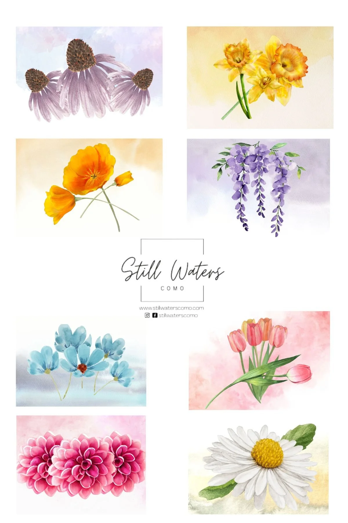Flower Note Cards — Still Waters Como