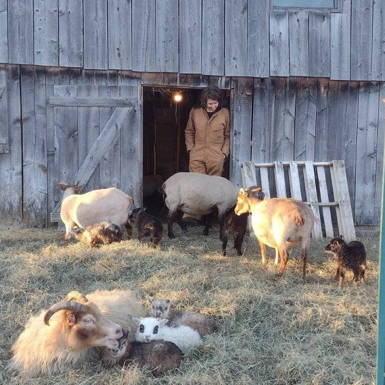 About Us — Greywether Farm