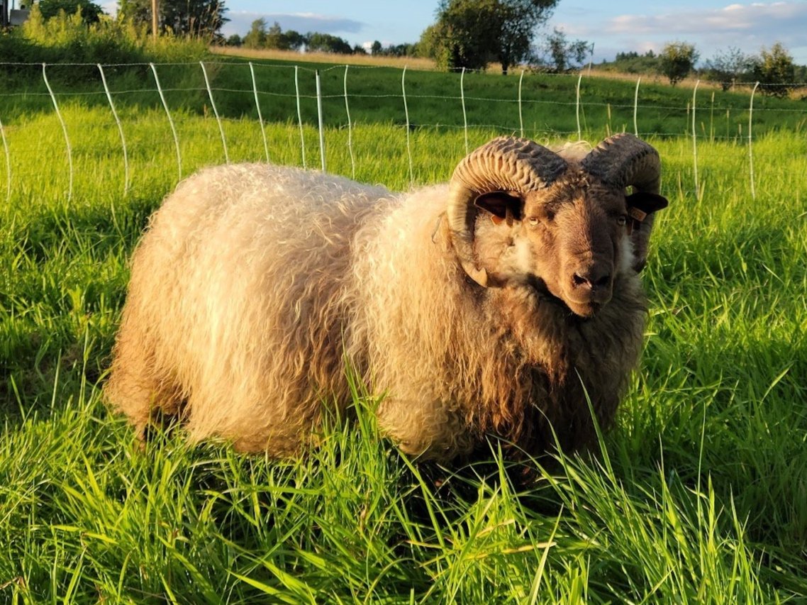General 1 — Greywether Farm