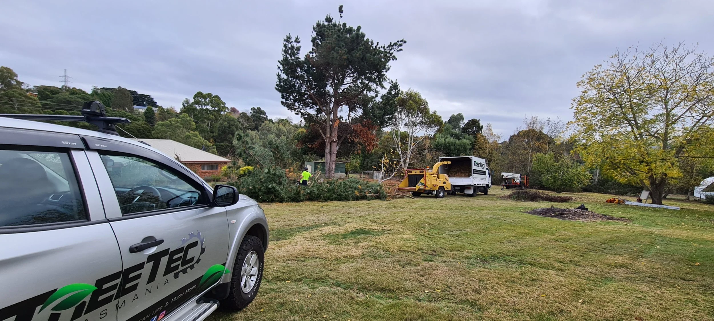 Launceston — Tree Removal Tasmania | Arborist Tasmania | Treetec Tasmania