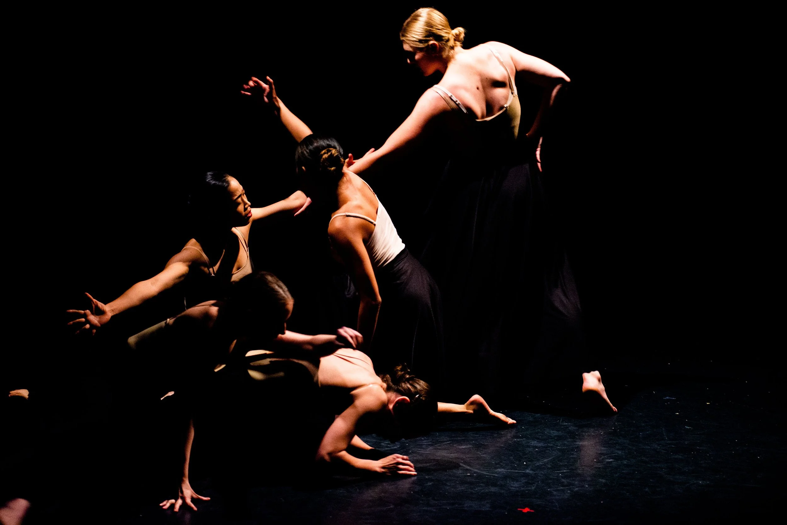 Fusia Center For The Arts