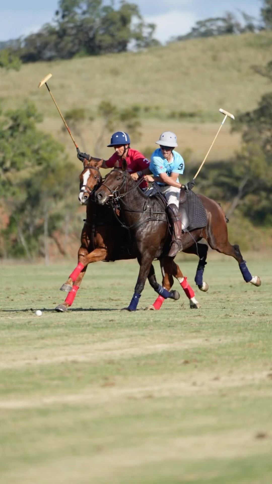 SCONE POLO CLUB