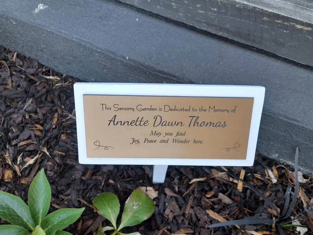Sensory Garden Opens at CCS Disability Action South Canterbury — CCS ...