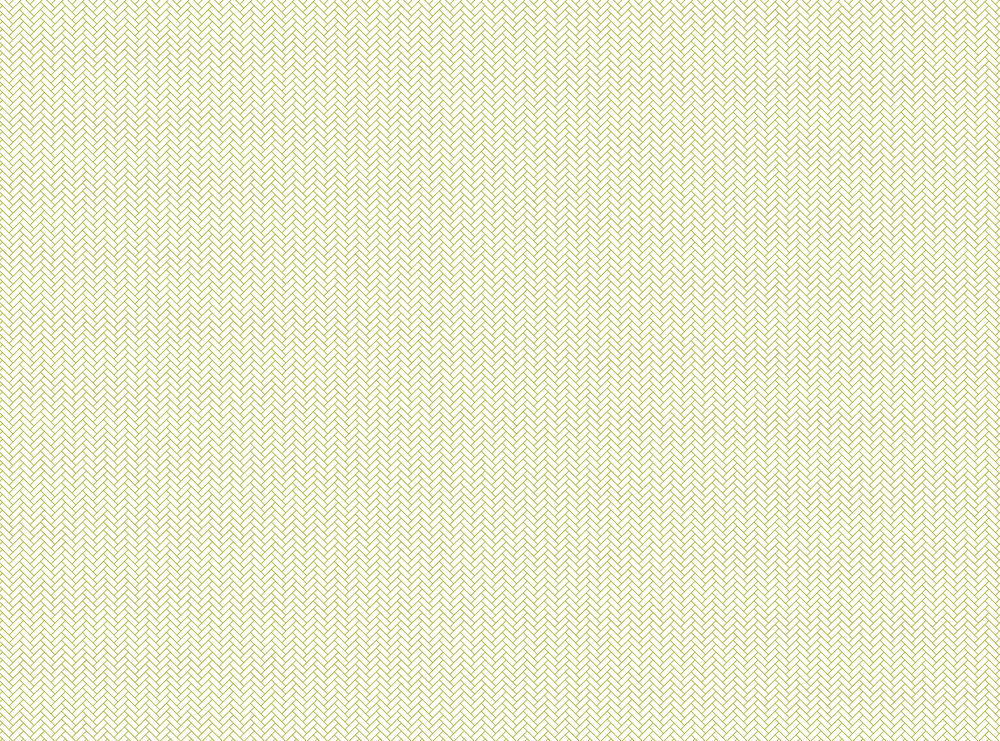 CCS Disability Action