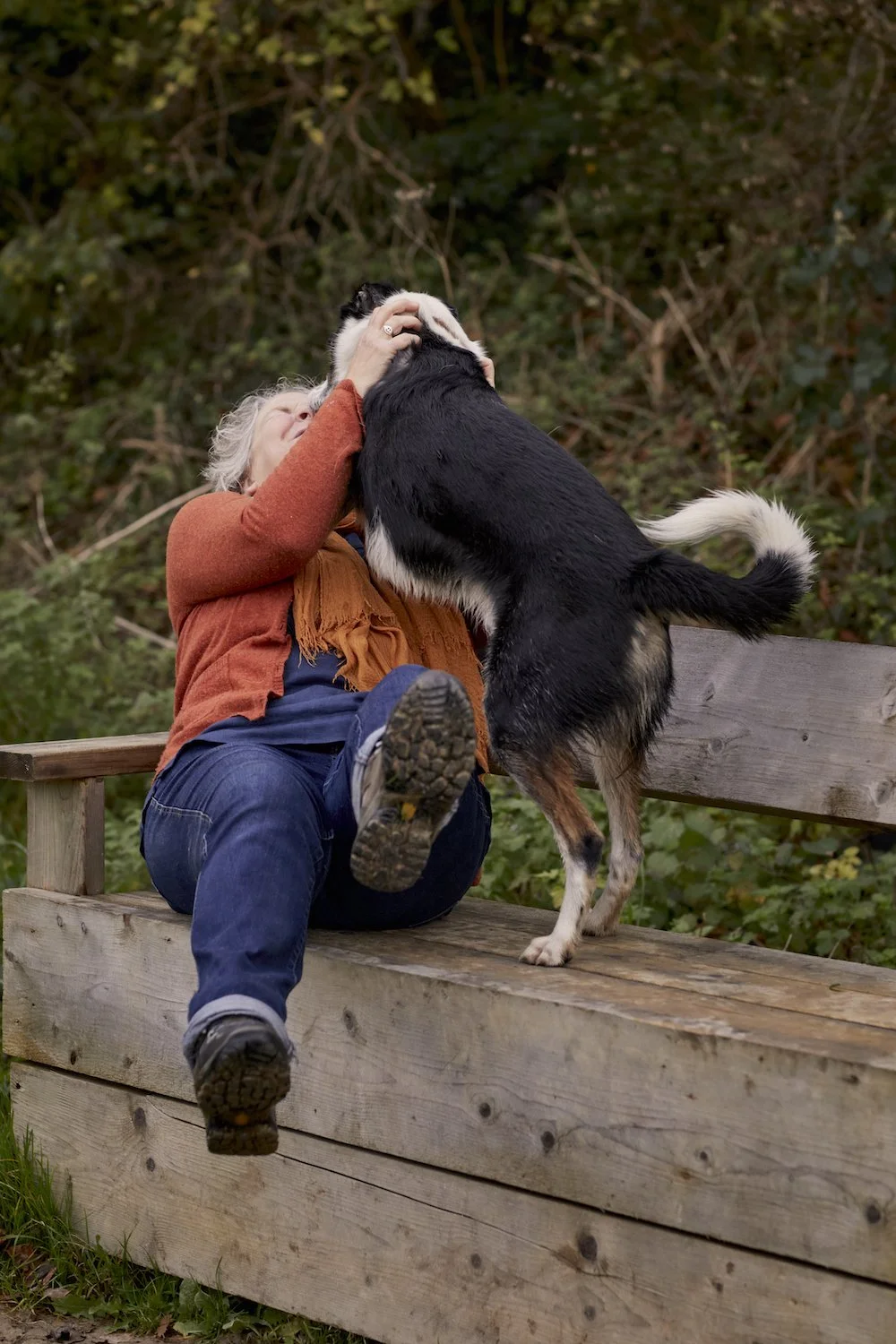 The canine connection my therapy dog Stanley offers adds a new special ...