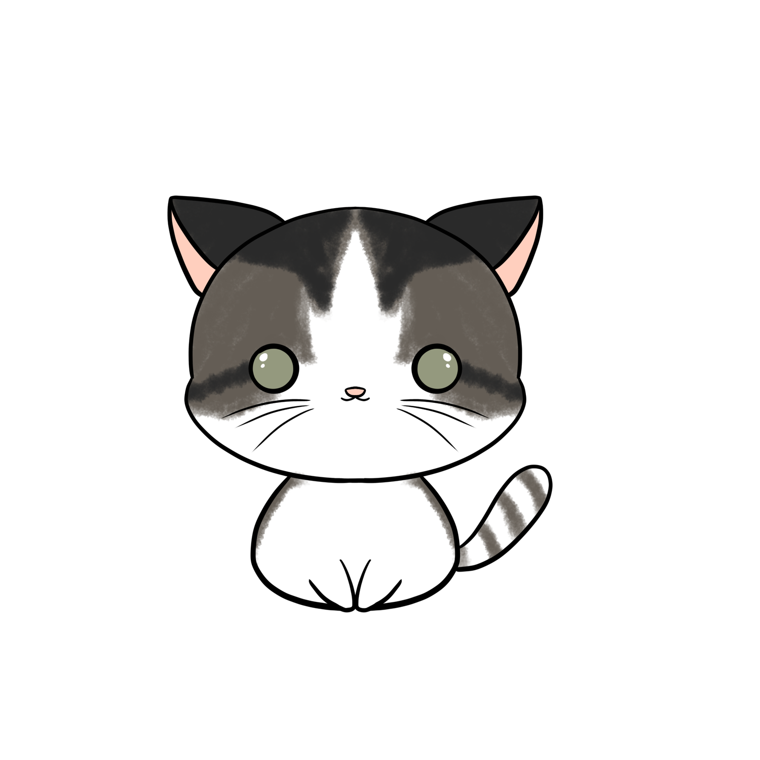 Staff — ANIGOMI