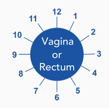 How to Do A Perineal Massage: 5 Easy Steps — ATL Pelvic Health