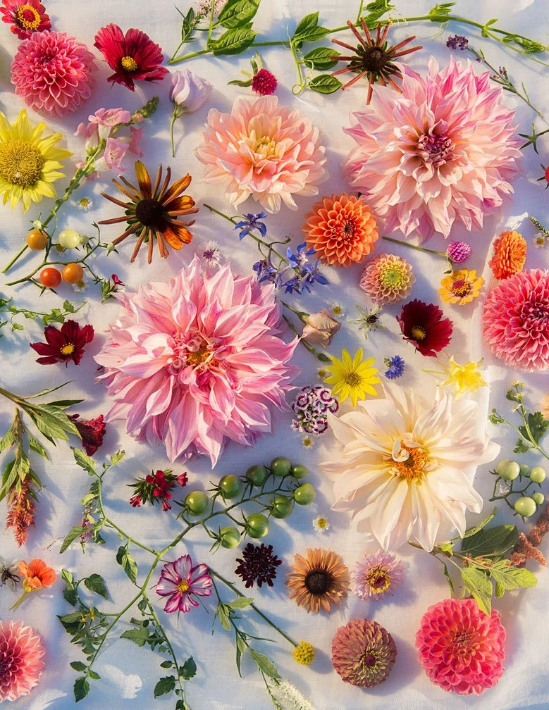 Amy Sadler - Commercial & Fine Art Photographer - New York