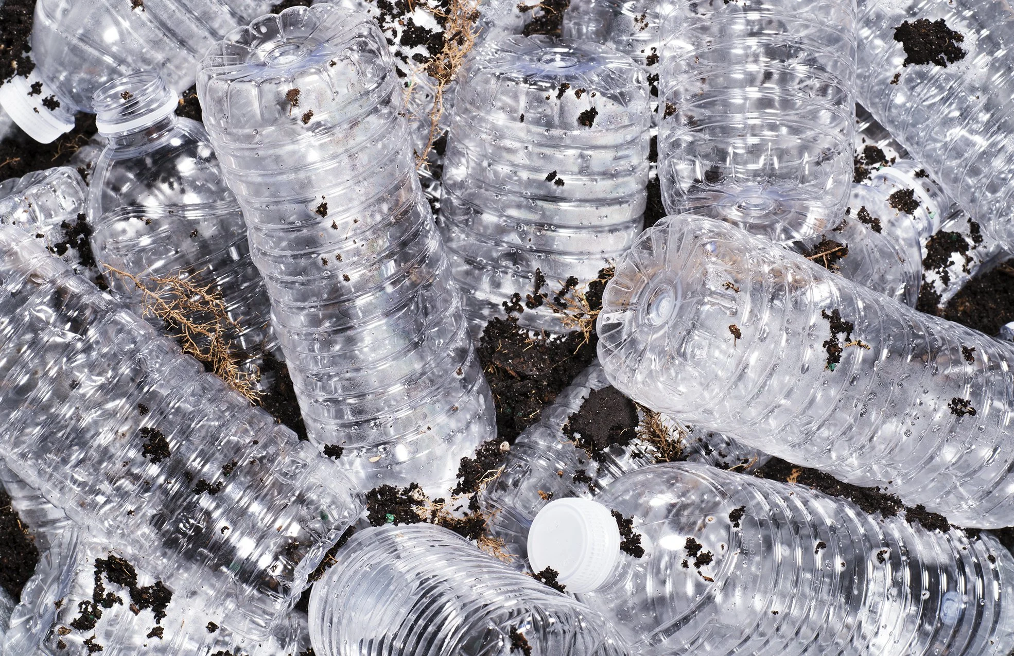 Amy Sadler - Commercial & Fine Art Photographer - New York