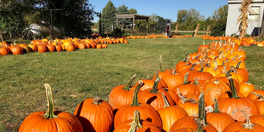 The Best Fall Activities Near Cedar Falls, IA — Home Indeed