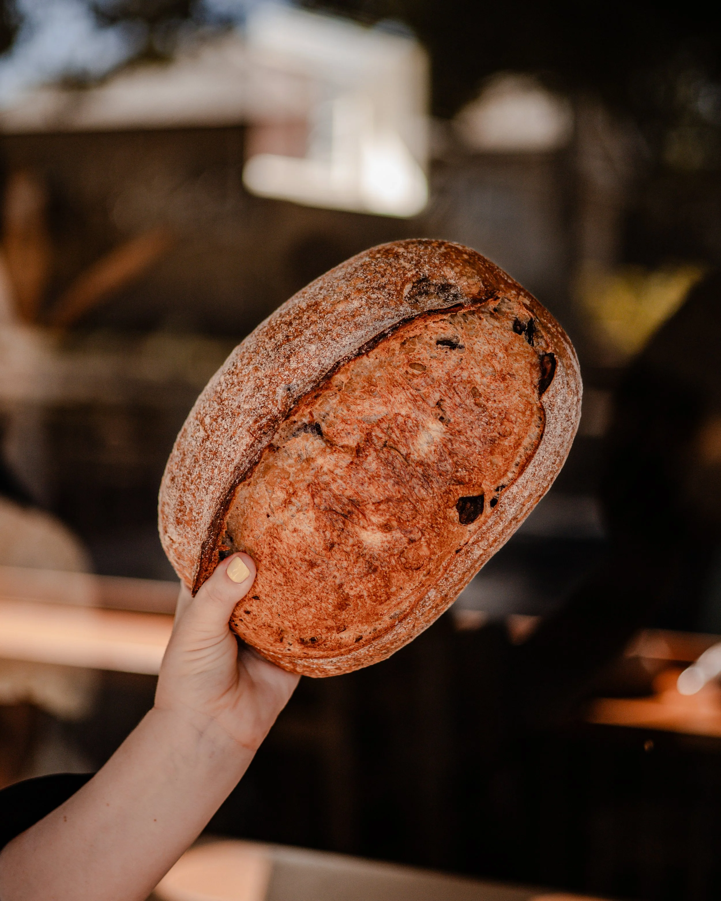 The Baker's Duck - Toowoomba Artisan Bakery