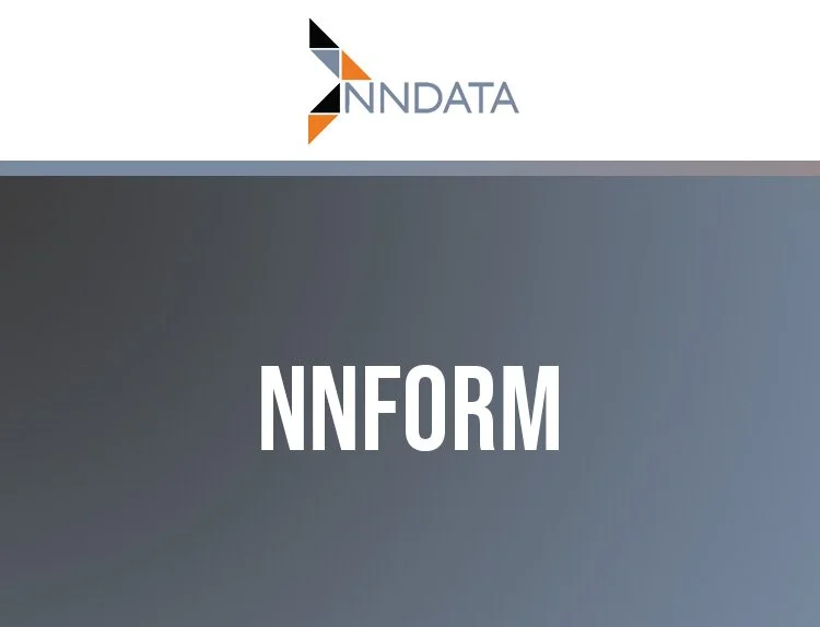 NNDATA INC