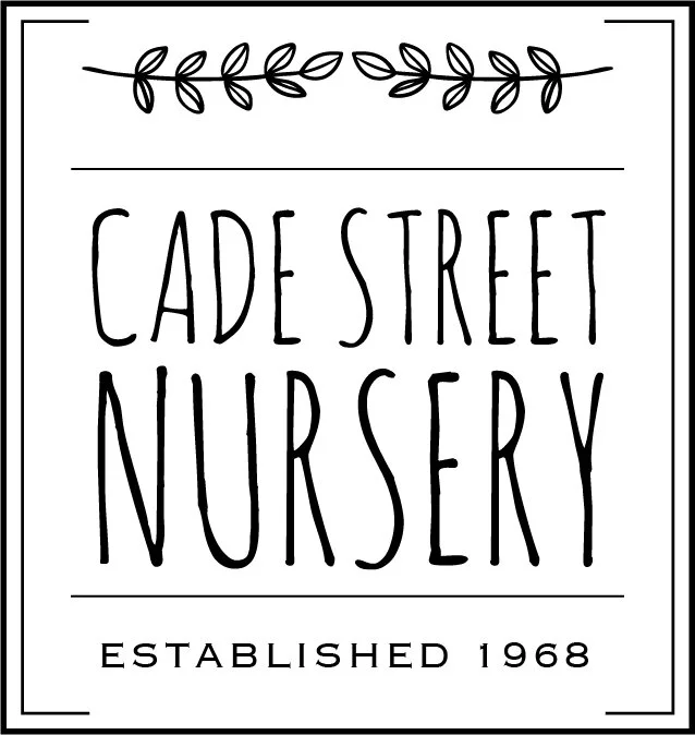 Abbotshall HLC | Empowering Community Wellness