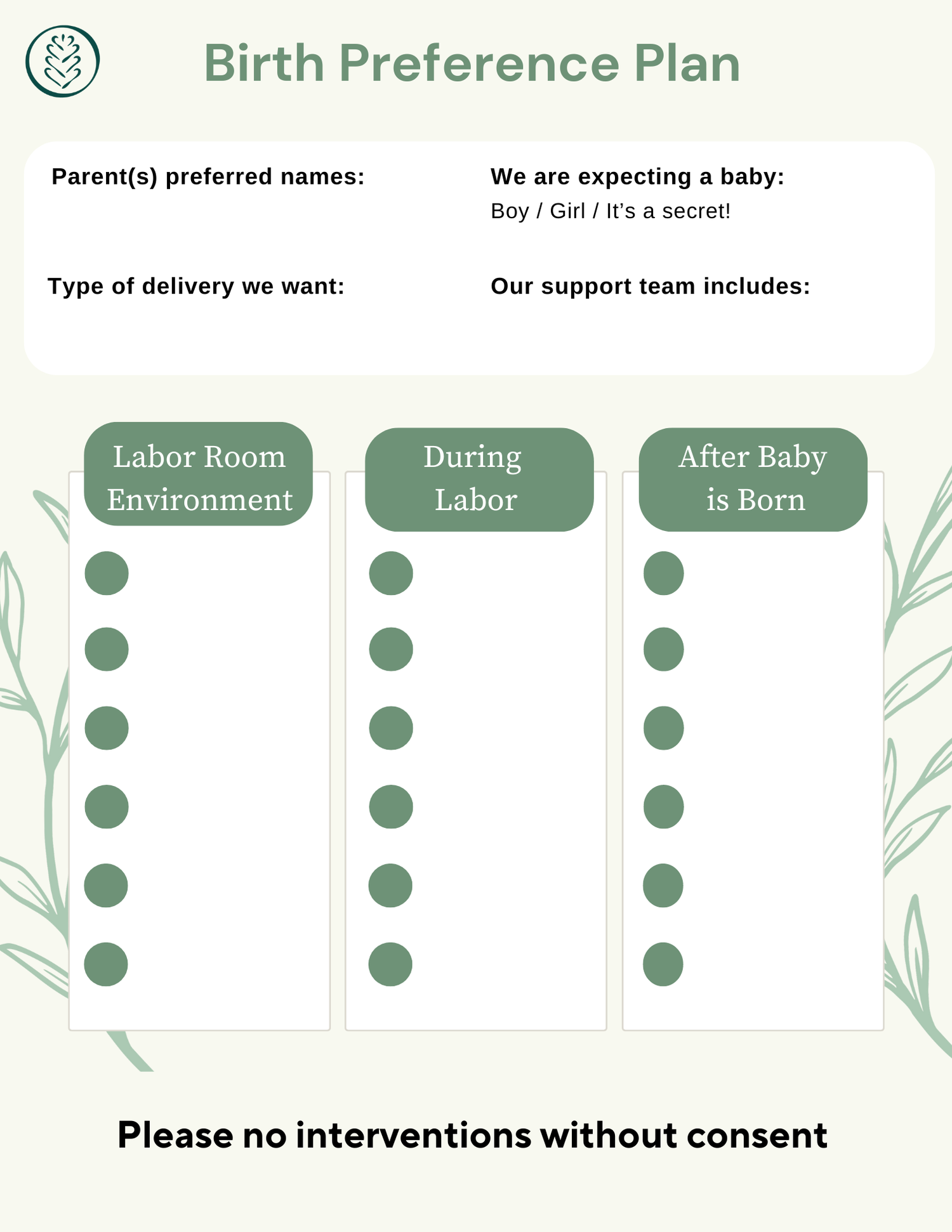 Birth Preference Plan | Discover Prenatal and Early Parenthood Classes ...