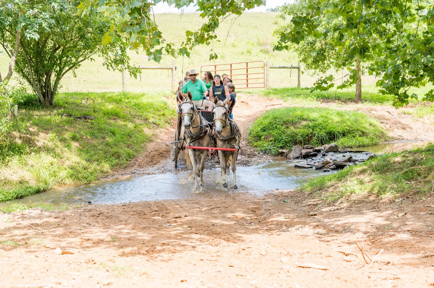 Cabins — Spring Valley Farm