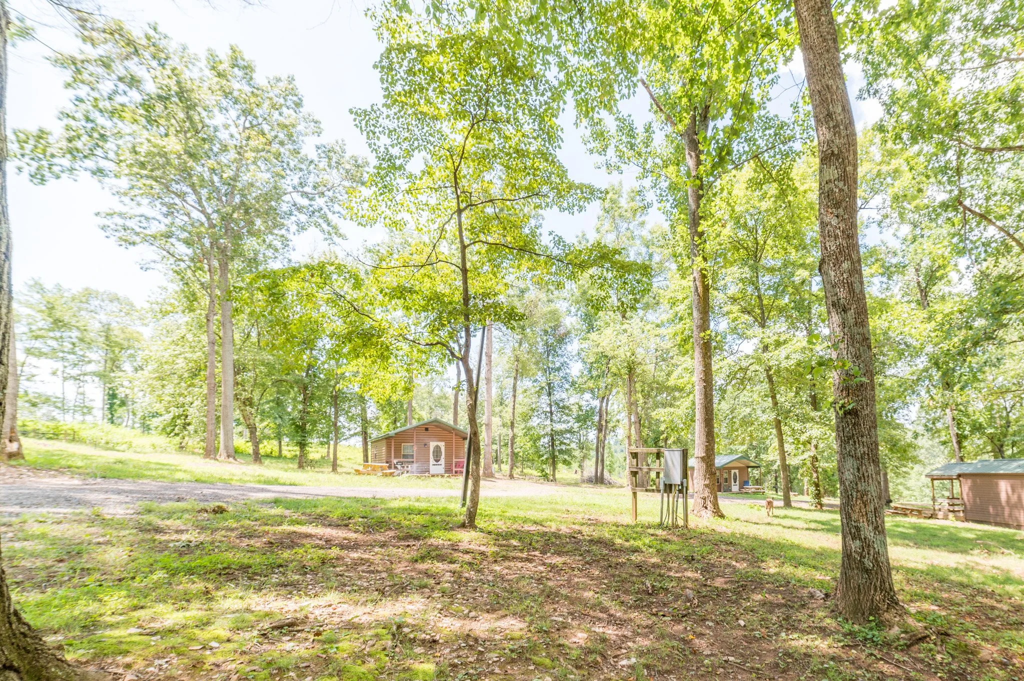 Cabins — Spring Valley Farm