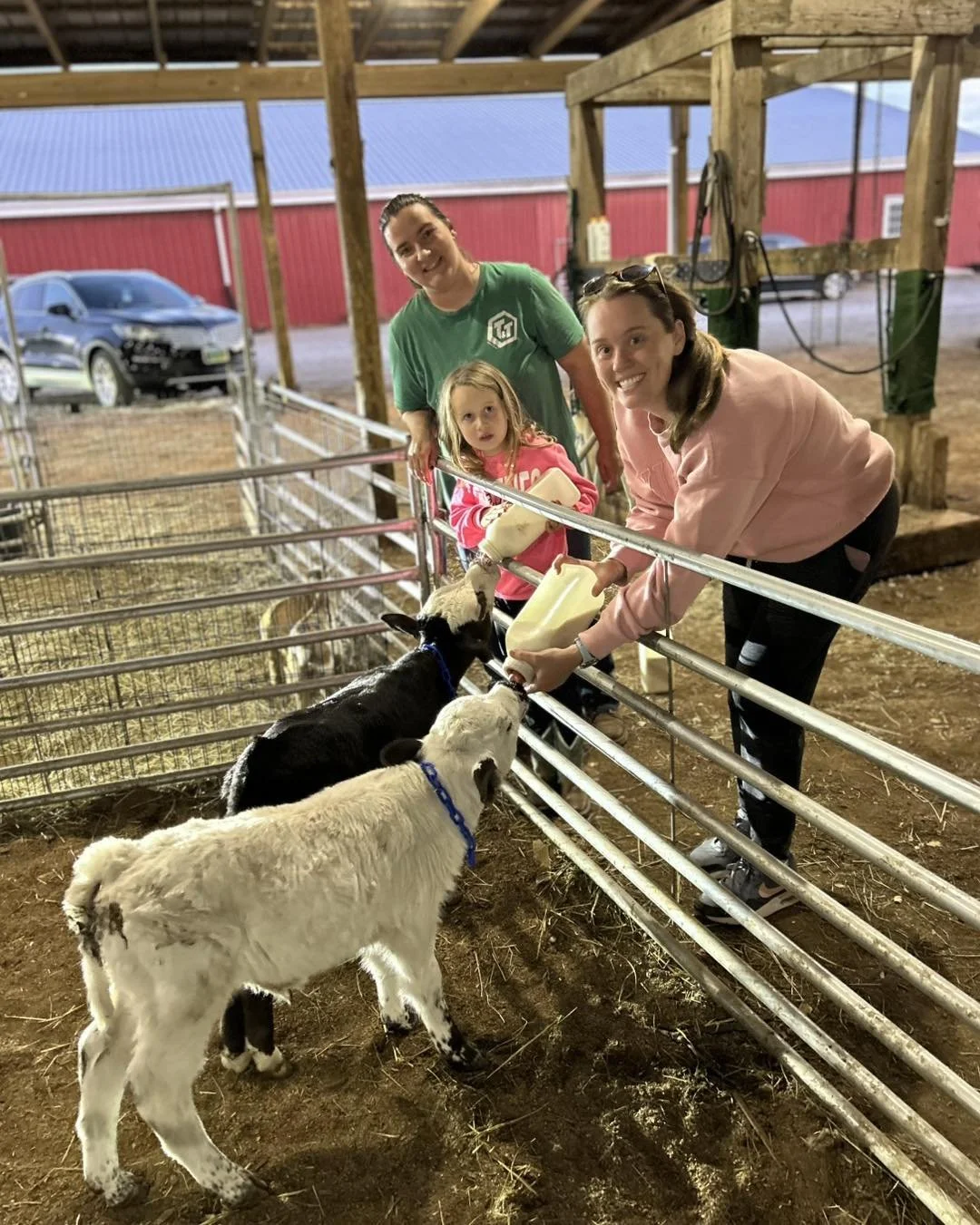 Farmer's Helper - Experience the Farm First Hand — Spring Valley Farm