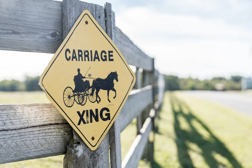 Carriages & Wagons — Spring Valley Farm