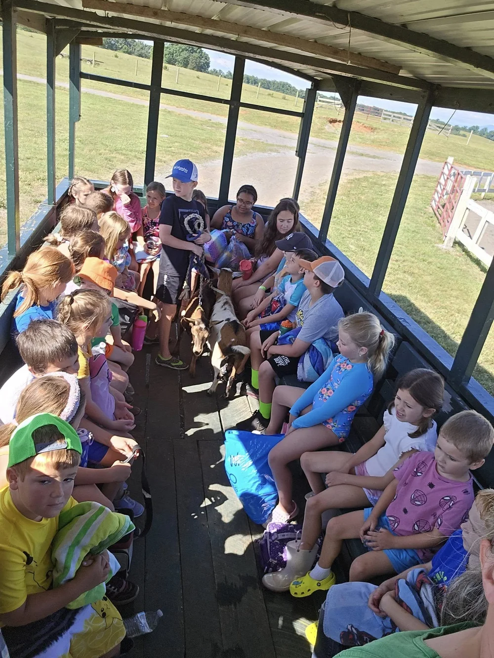 Farm School — Spring Valley Farm