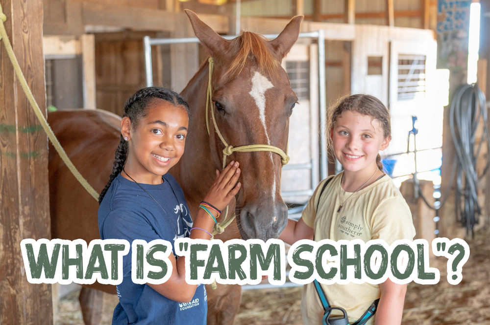 Farm School — Spring Valley Farm