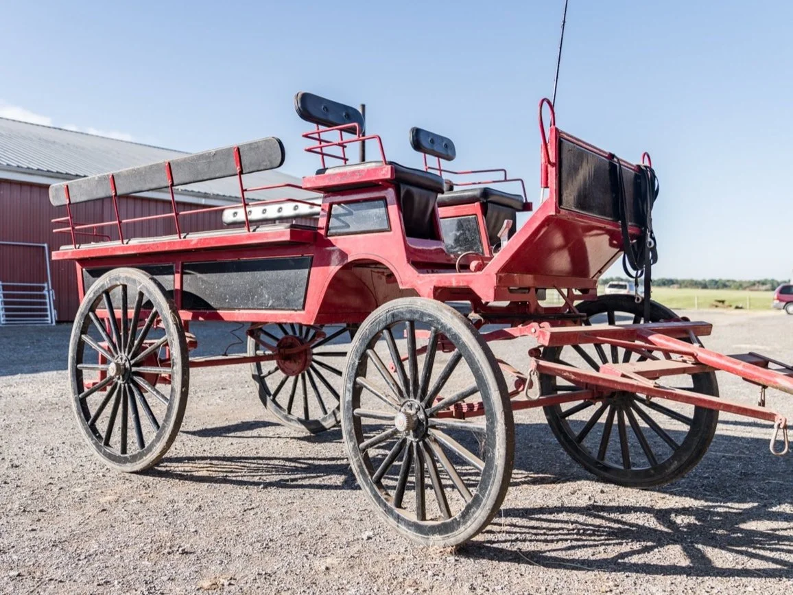 Carriages & Wagons — Spring Valley Farm