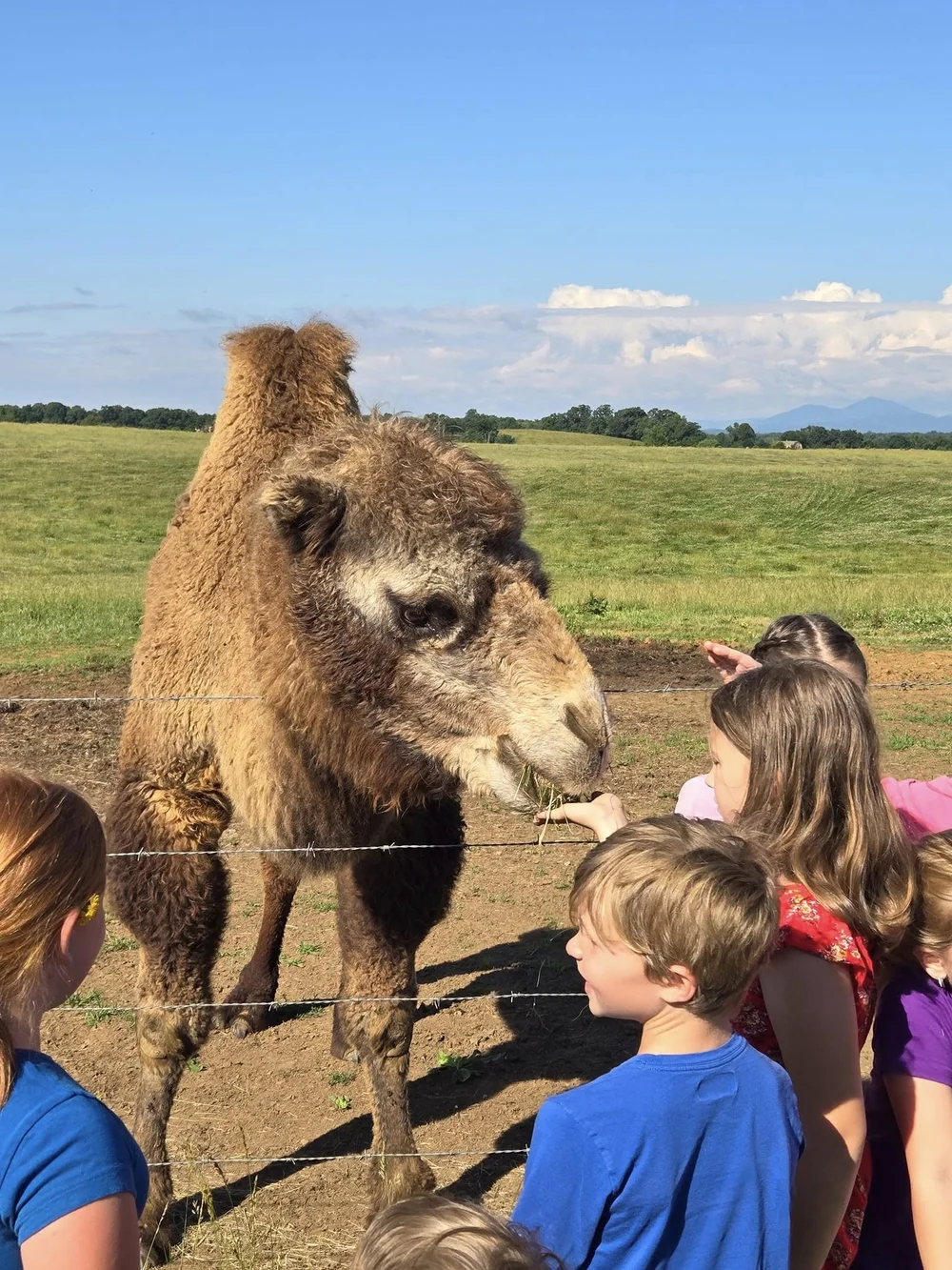 Farm School — Spring Valley Farm