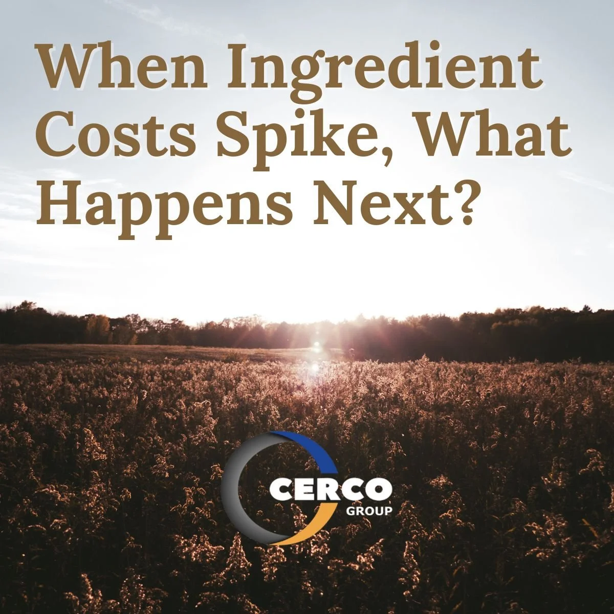 How to Handle Ingredient Price Spikes: Sourcing Strategies That Protect ...