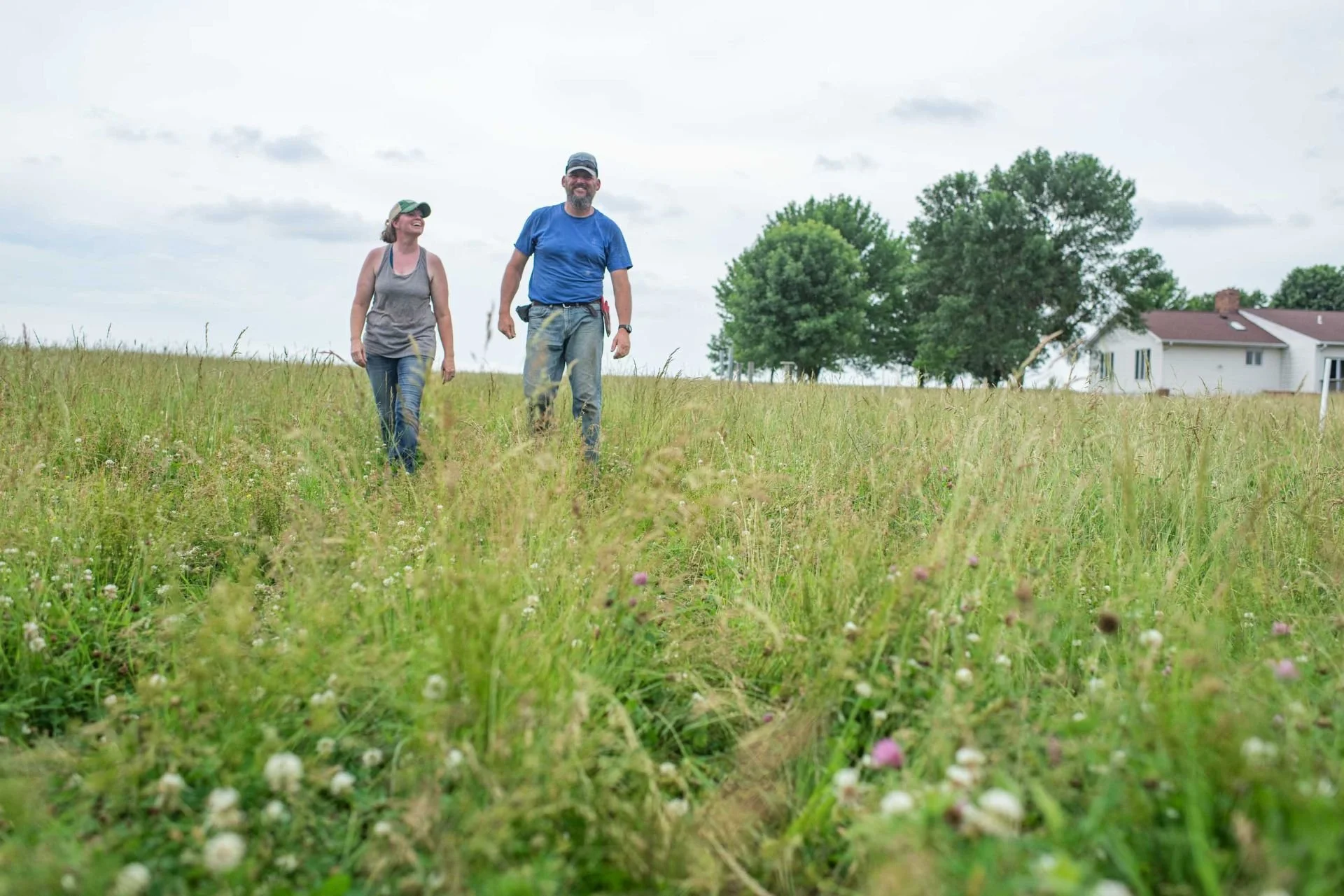 Hedge Holler Harvest