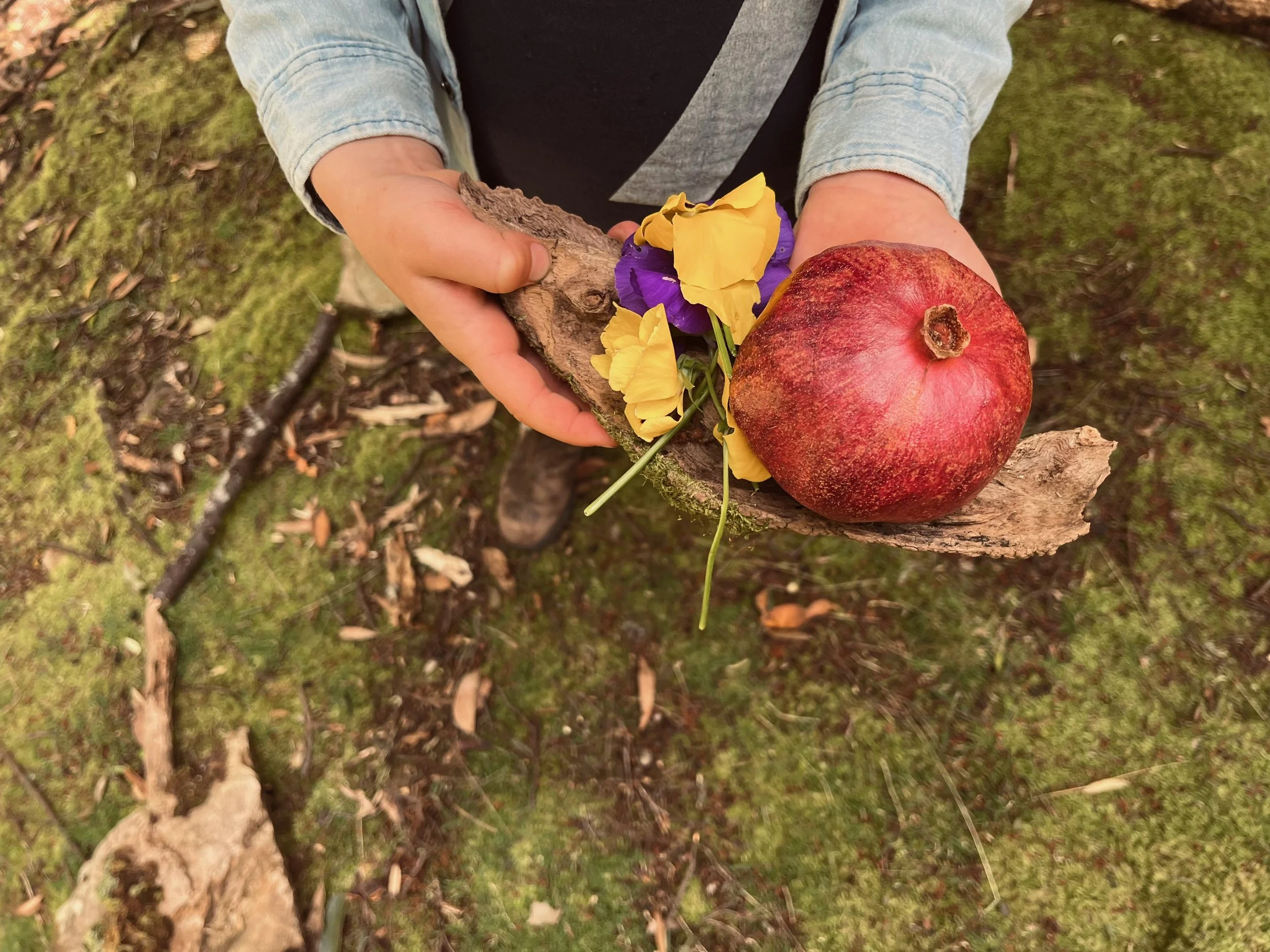 Tree of Wisdom — Bard Lewry