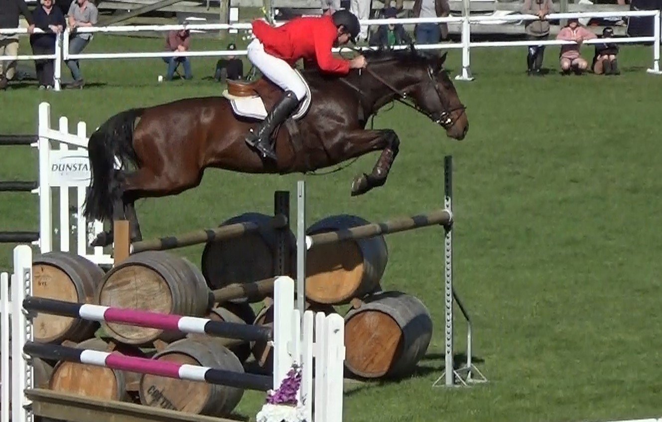 Horses — Kiwi Horses