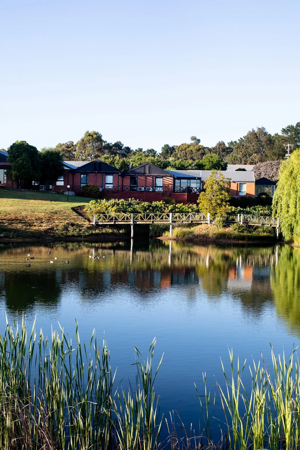 Lancemore Macedon Ranges — Chroma Group