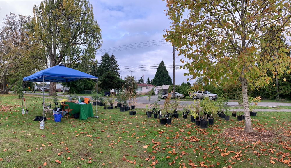 Our History — Tacoma Tree Foundation