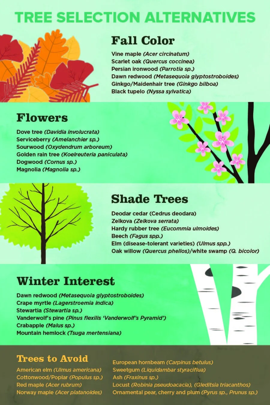 Tree Care — Tacoma Tree Foundation