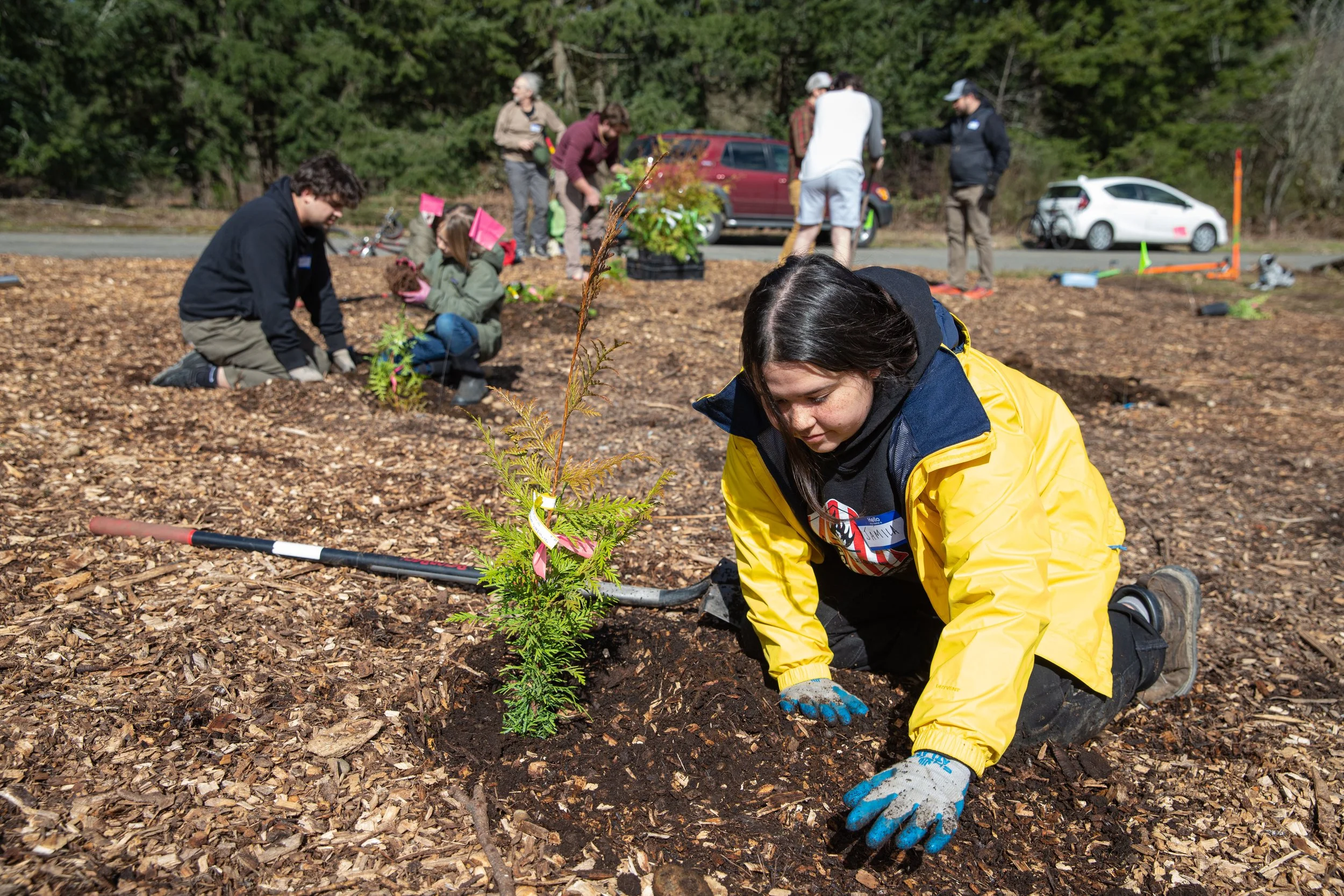 Programs — Tacoma Tree Foundation