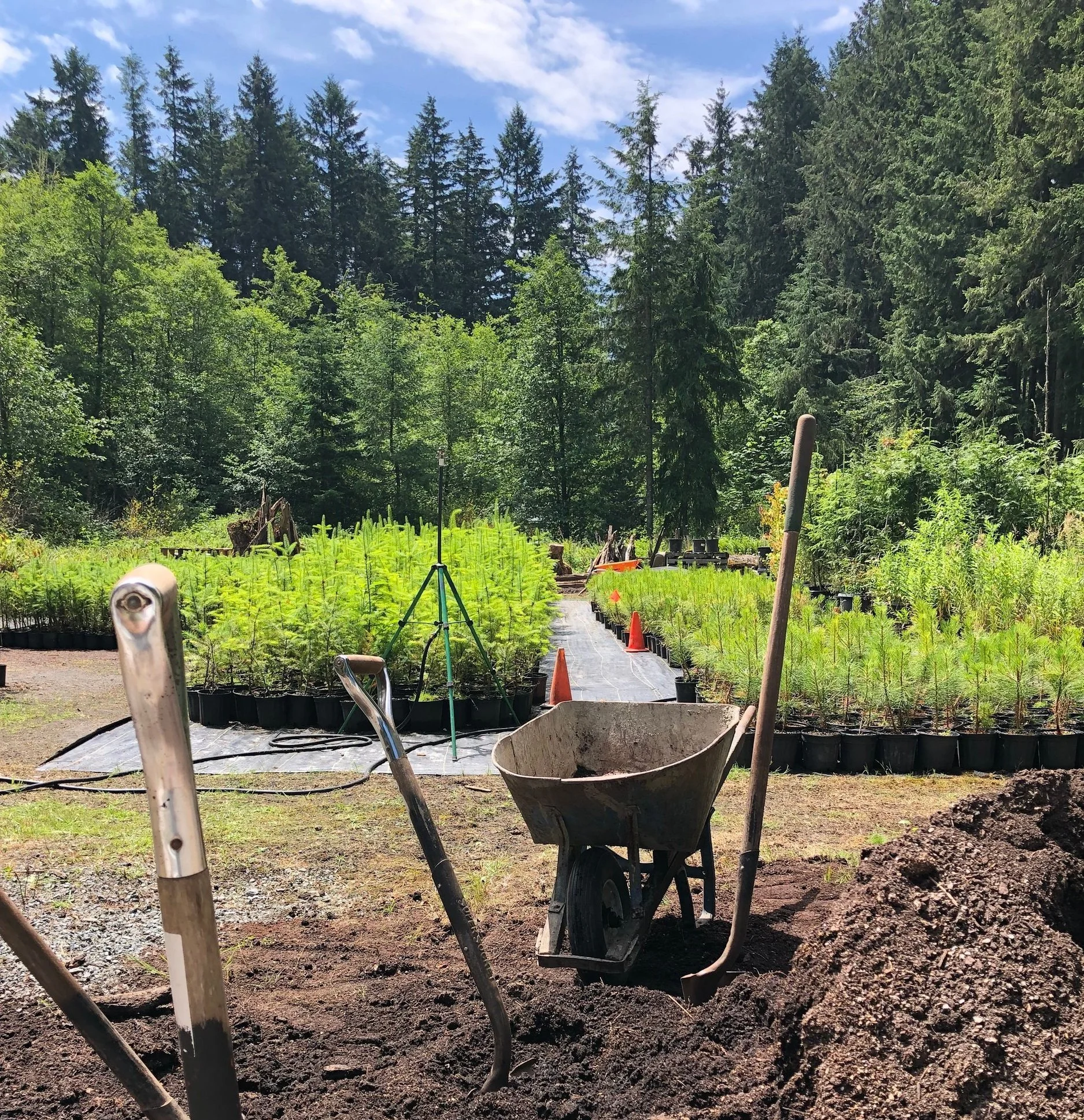 General 1 — Tacoma Tree Foundation