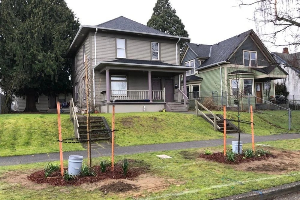 Tacoma Tree Foundation