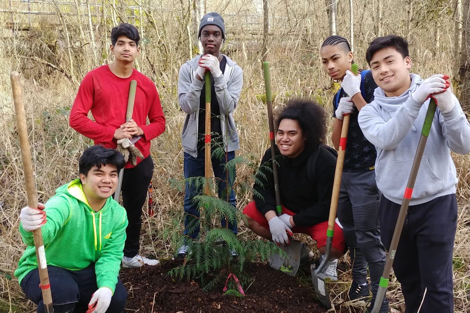 Programs — Tacoma Tree Foundation