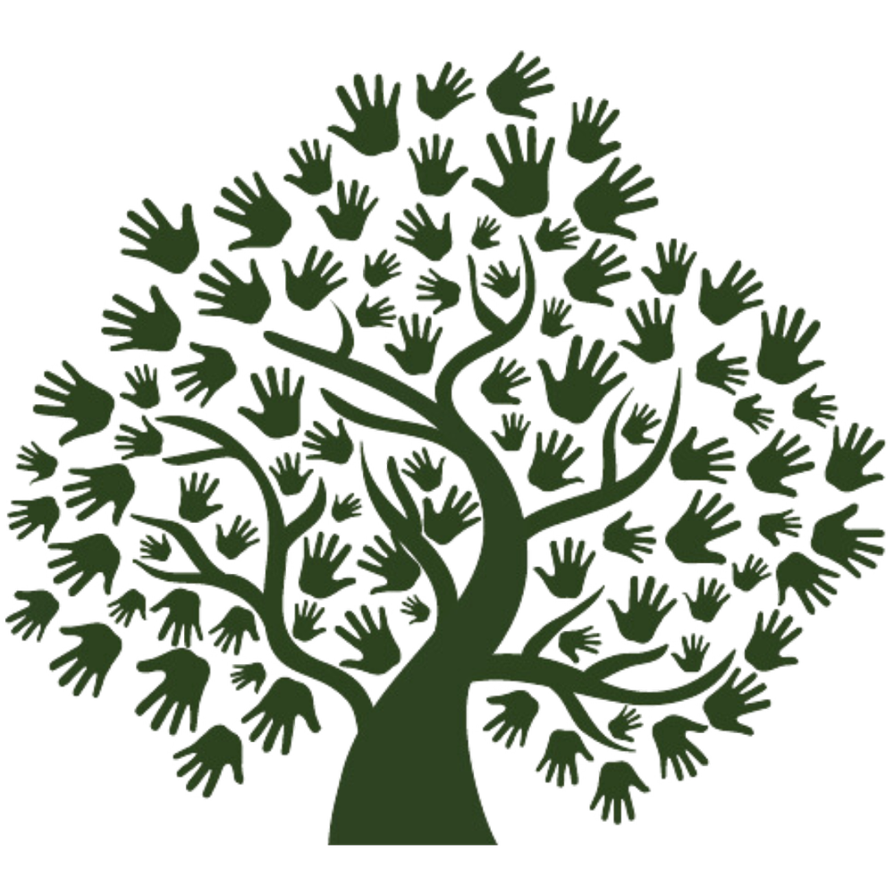 Trees for Greater Tacoma — Tacoma Tree Foundation