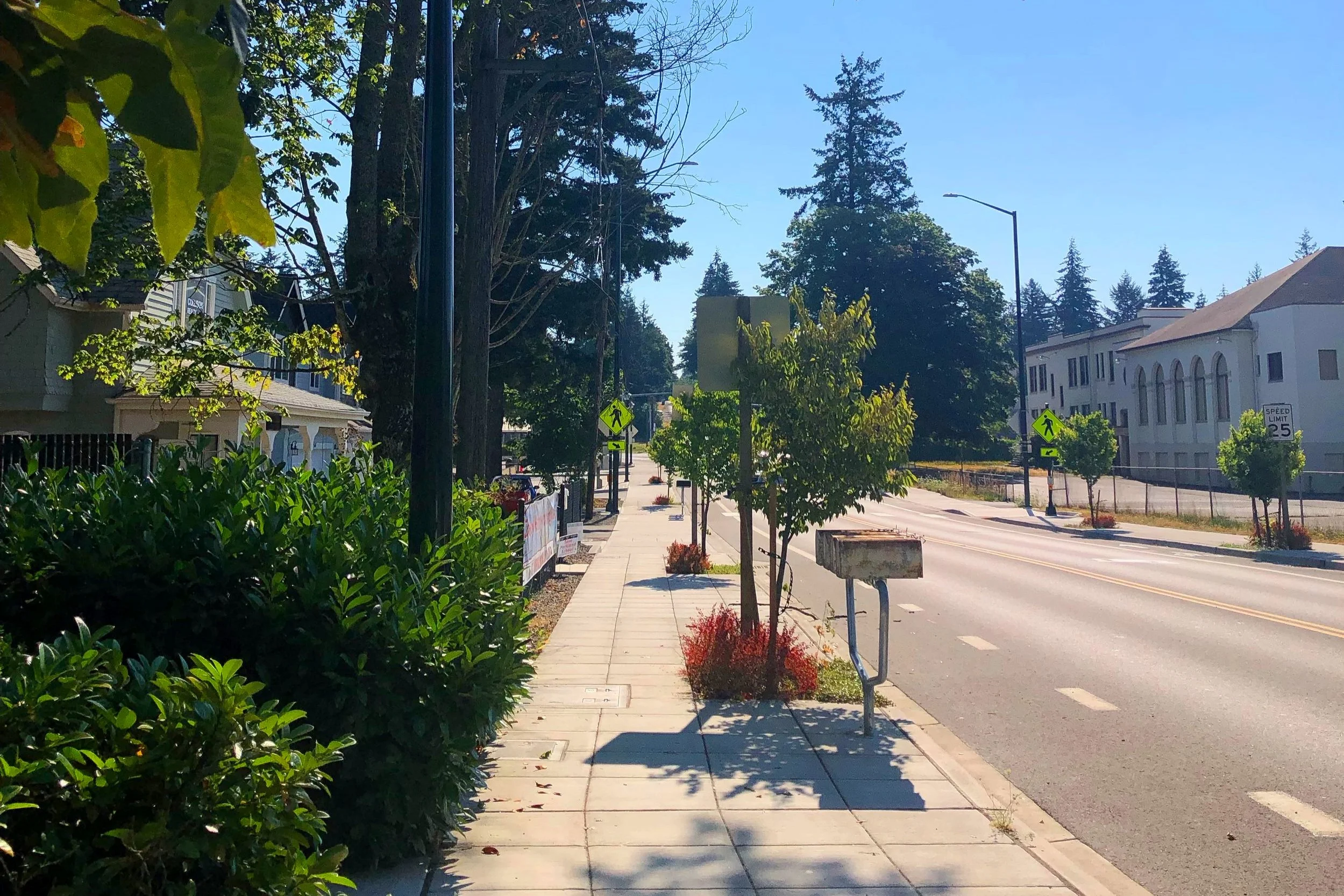 Programs — Tacoma Tree Foundation