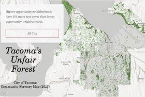 Tacoma Tree Foundation